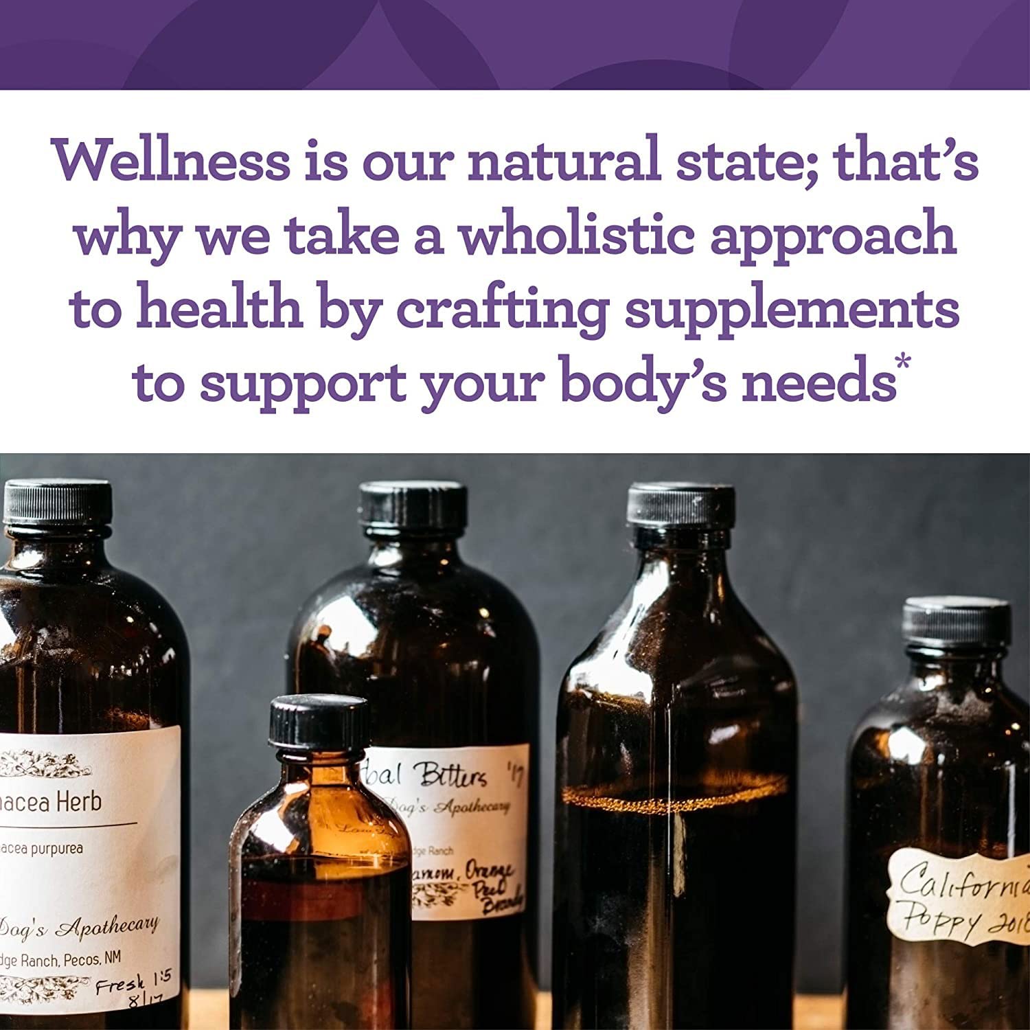 daily probiotic supplement for wellness