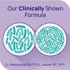 daily probiotic supplement for wellness