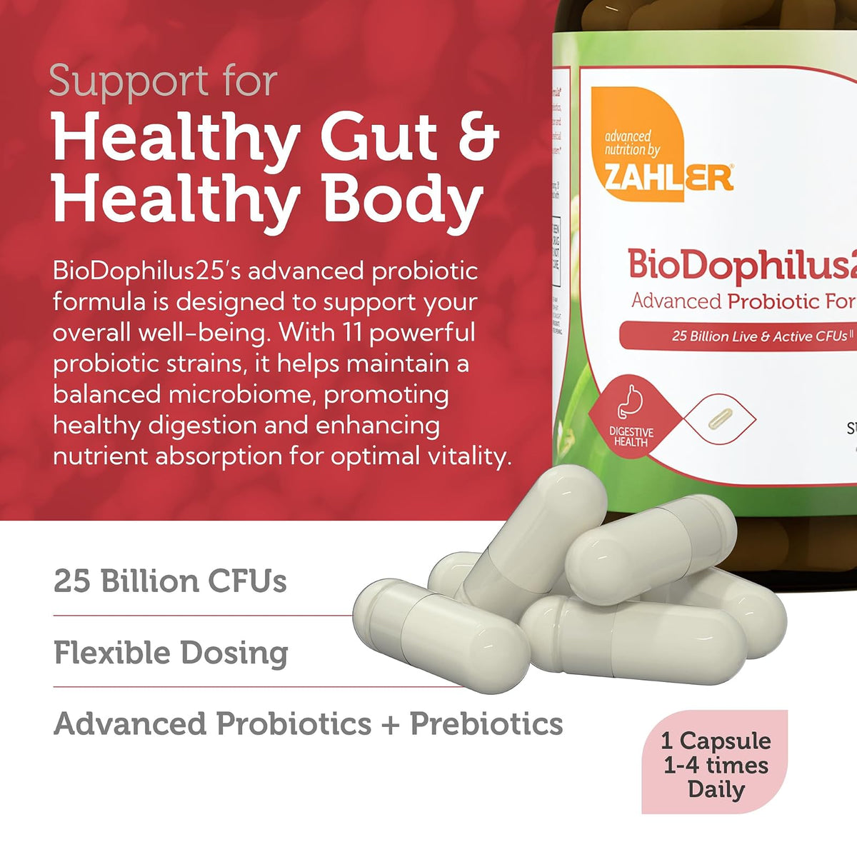 daily probiotic supplement for wellness