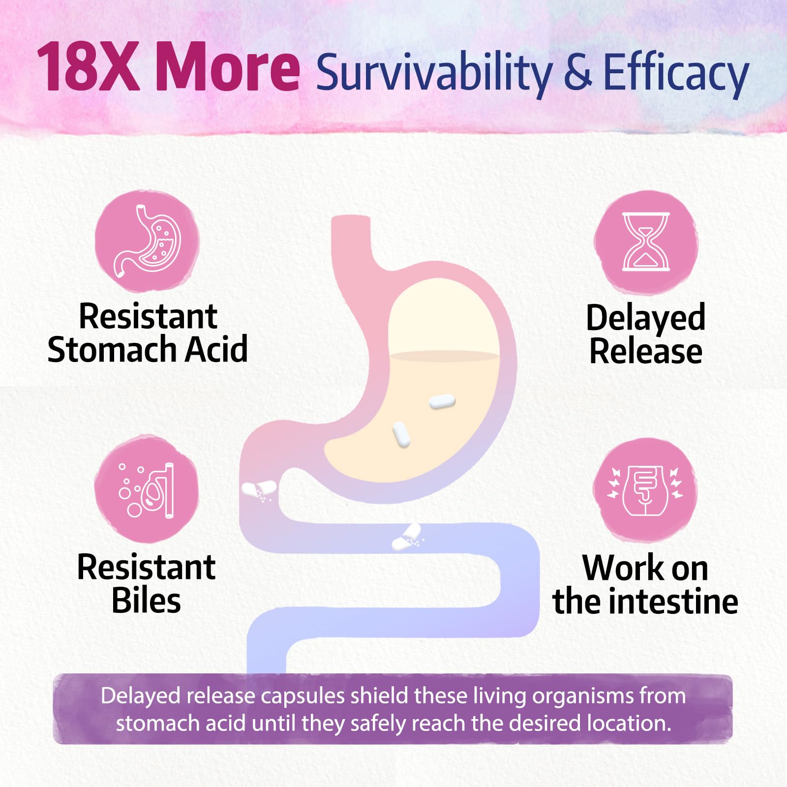 daily probiotic supplement for women
