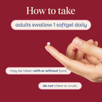 daily probiotic support for gut health