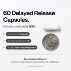 daily probiotic support for gut health
