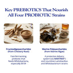 daily probiotic support for wellness