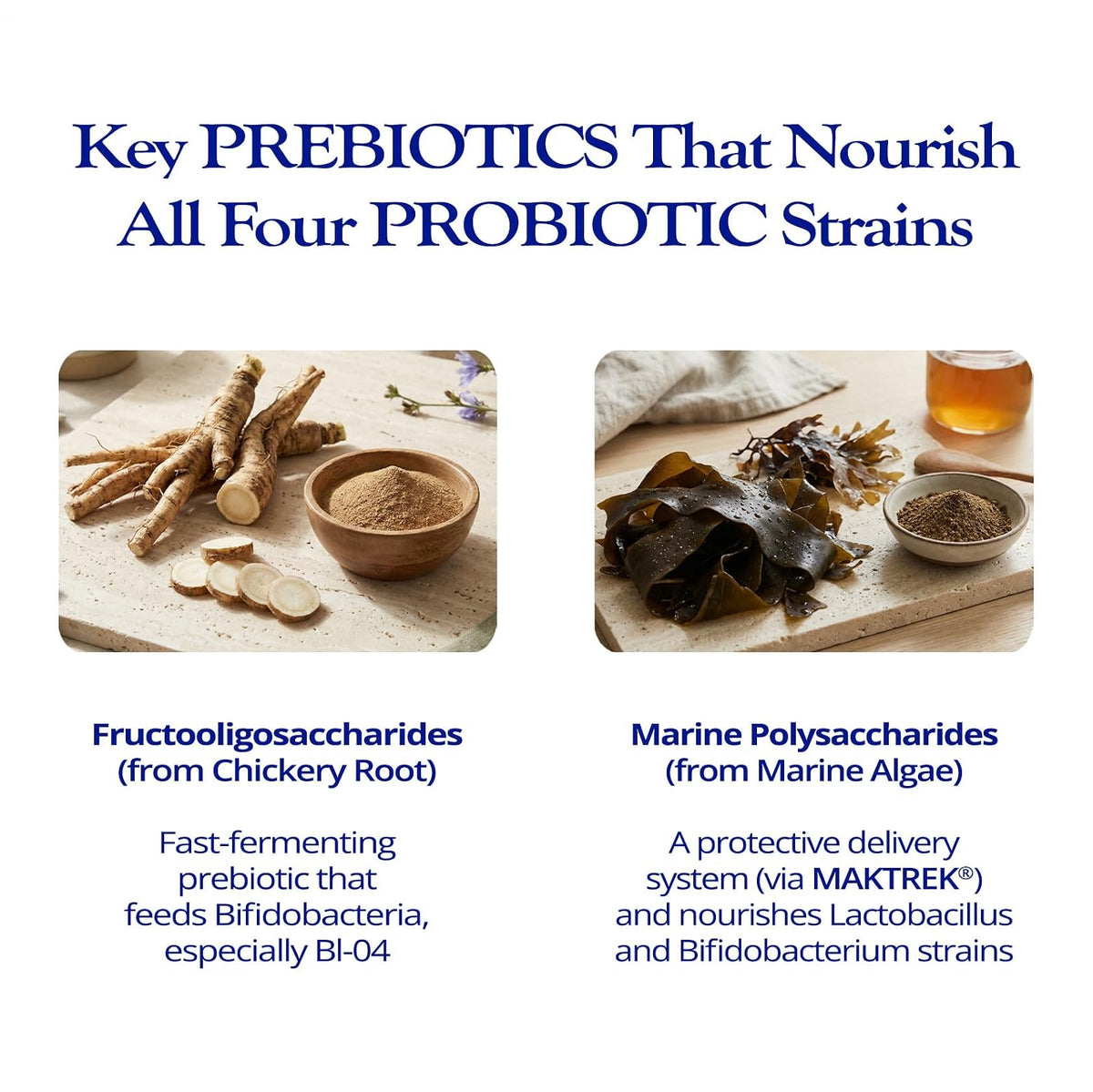 daily probiotic support for wellness
