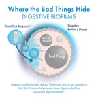 daily probiotic support in capsules