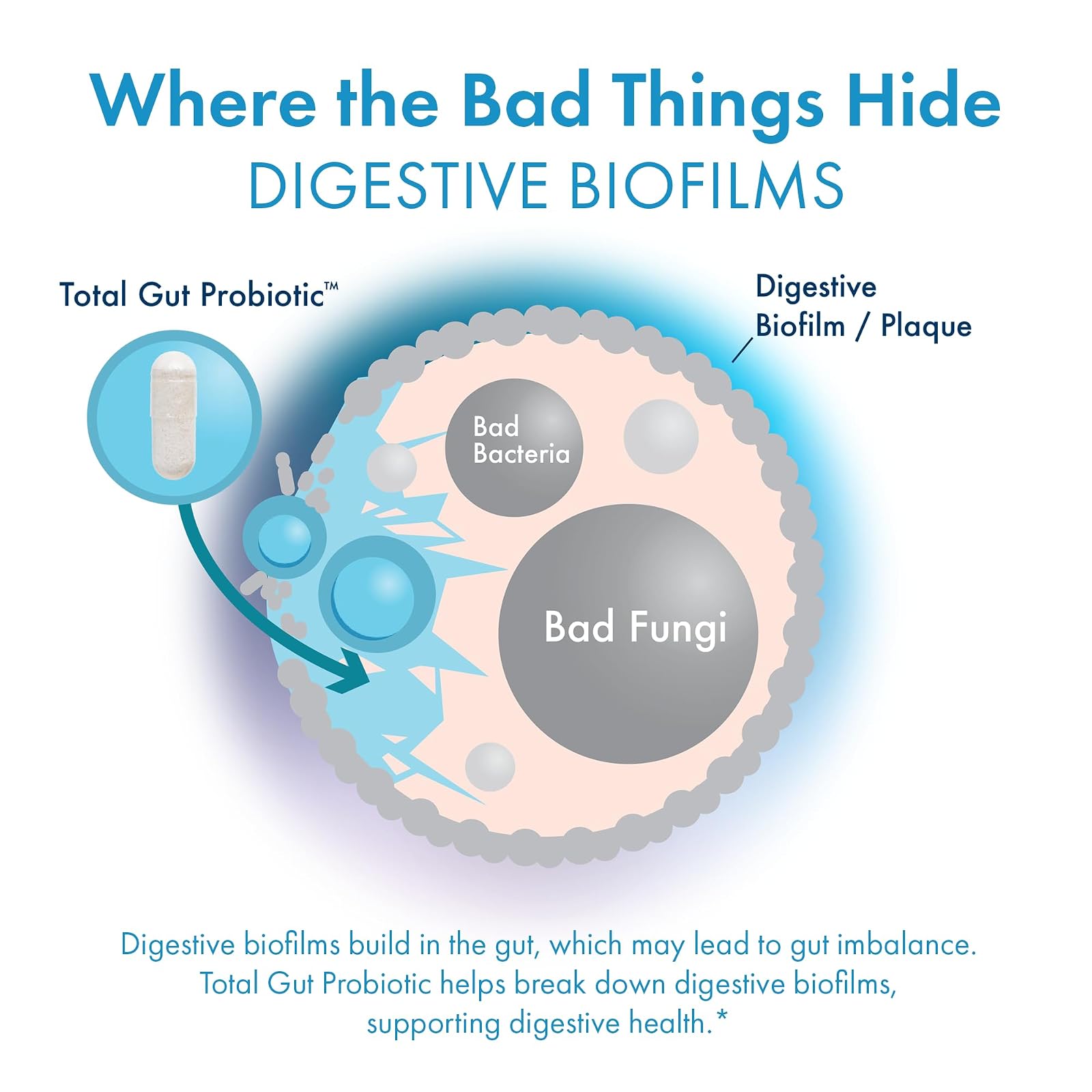 daily probiotic support in capsules