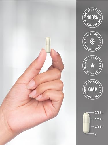 daily probiotics 50 billion CFU support