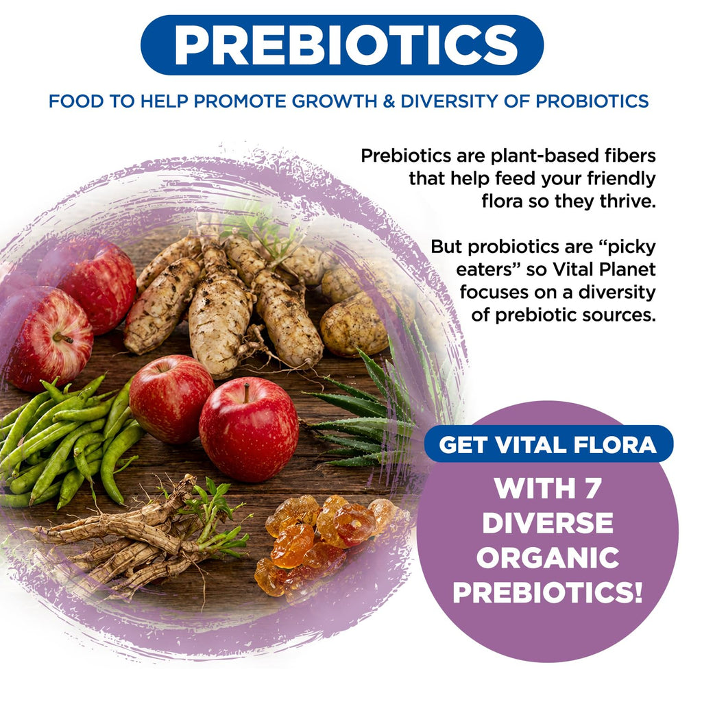 daily probiotics for balanced digestion