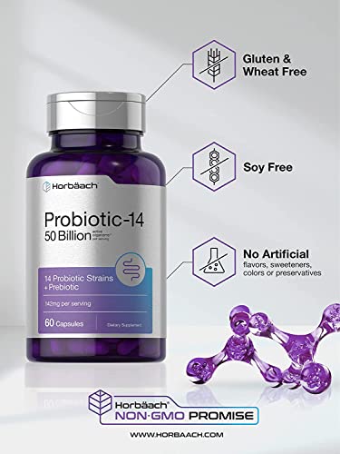 Daily probiotics for balanced flora