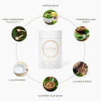Daily probiotics for digestive comfort