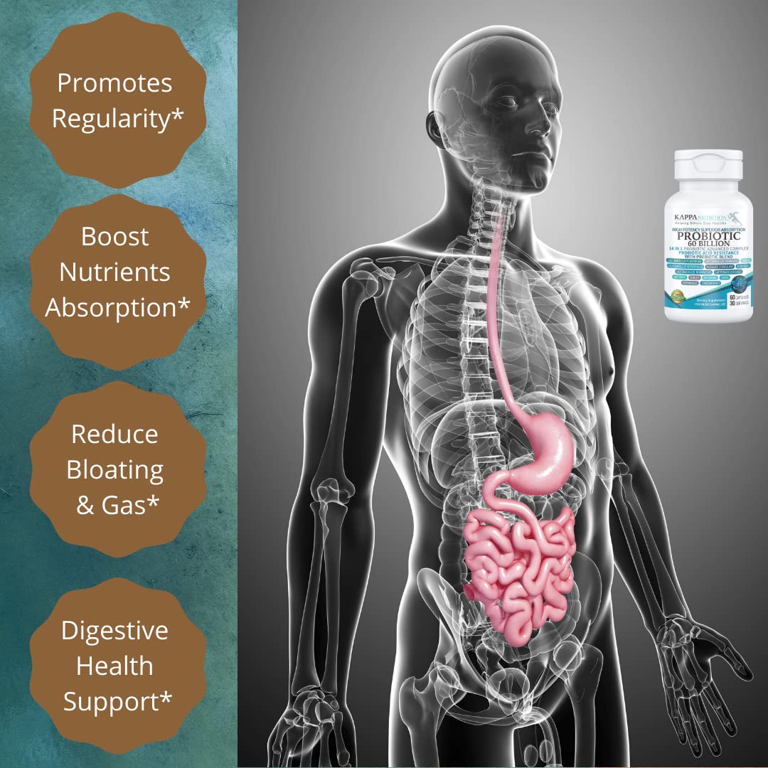 daily probiotics for gut balance