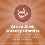daily probiotics for gut balance