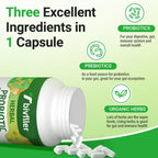 daily probiotics for gut health