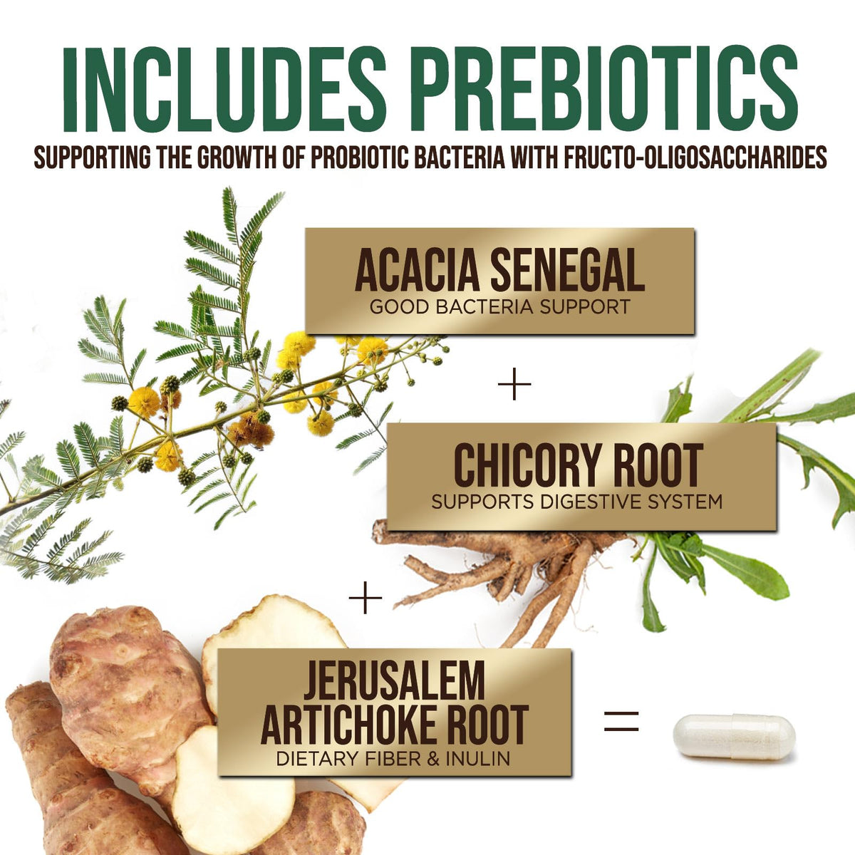 daily probiotics for immune support