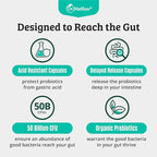 daily probiotics for improved digestion