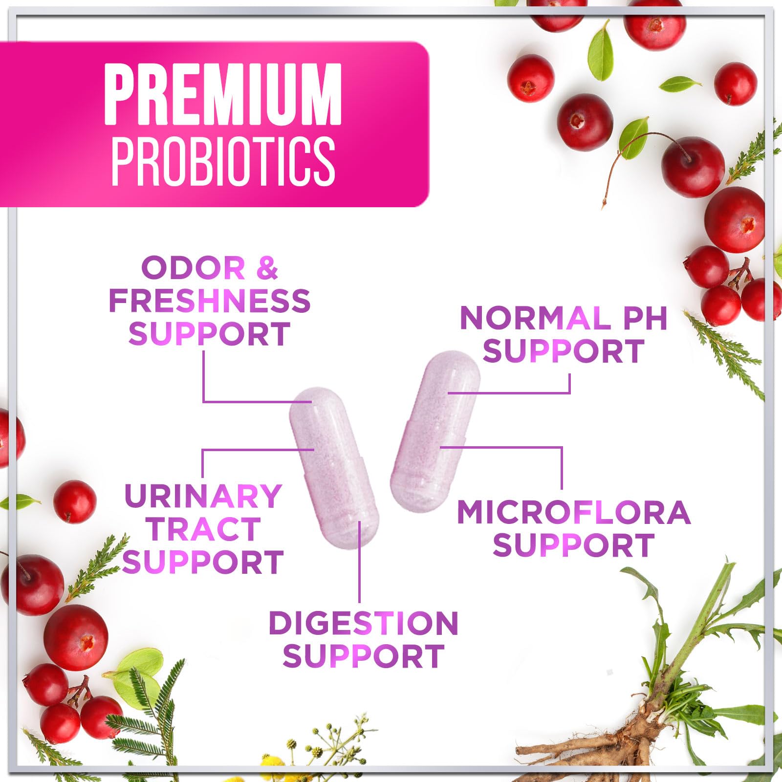 daily probiotics for improved digestion