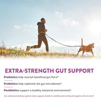 daily probiotics for improved wellness