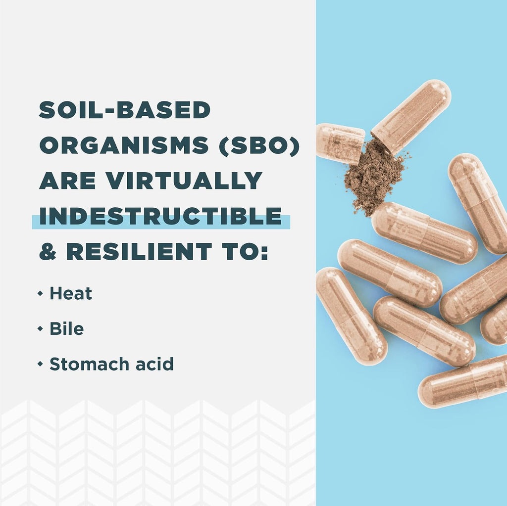 daily probiotics for mental wellness