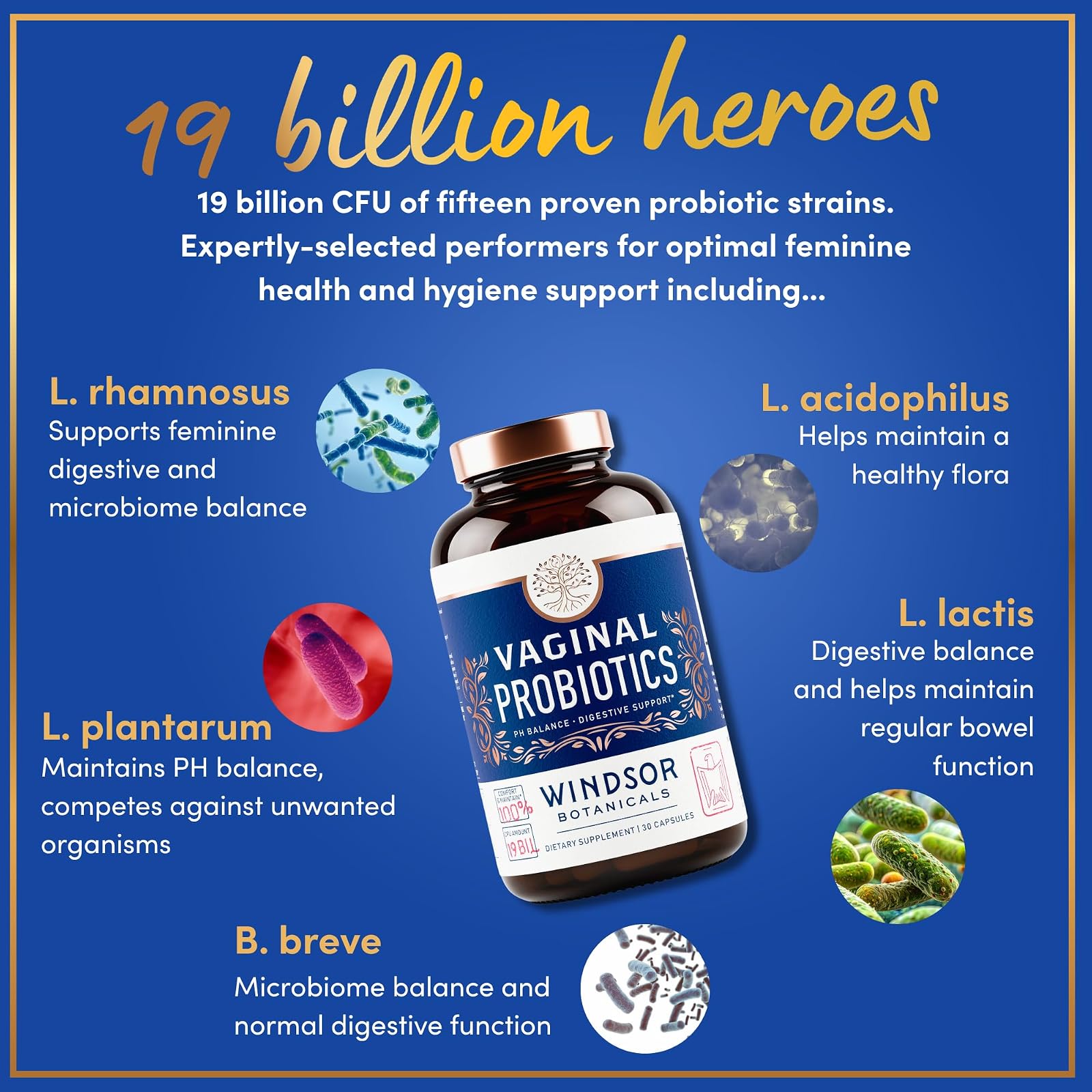 Daily probiotics for optimal gut health