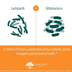 daily probiotics for optimal wellness