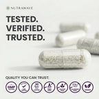 daily probiotics for overall wellness