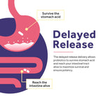 daily probiotics for women's health