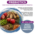daily probiotics for women's wellness