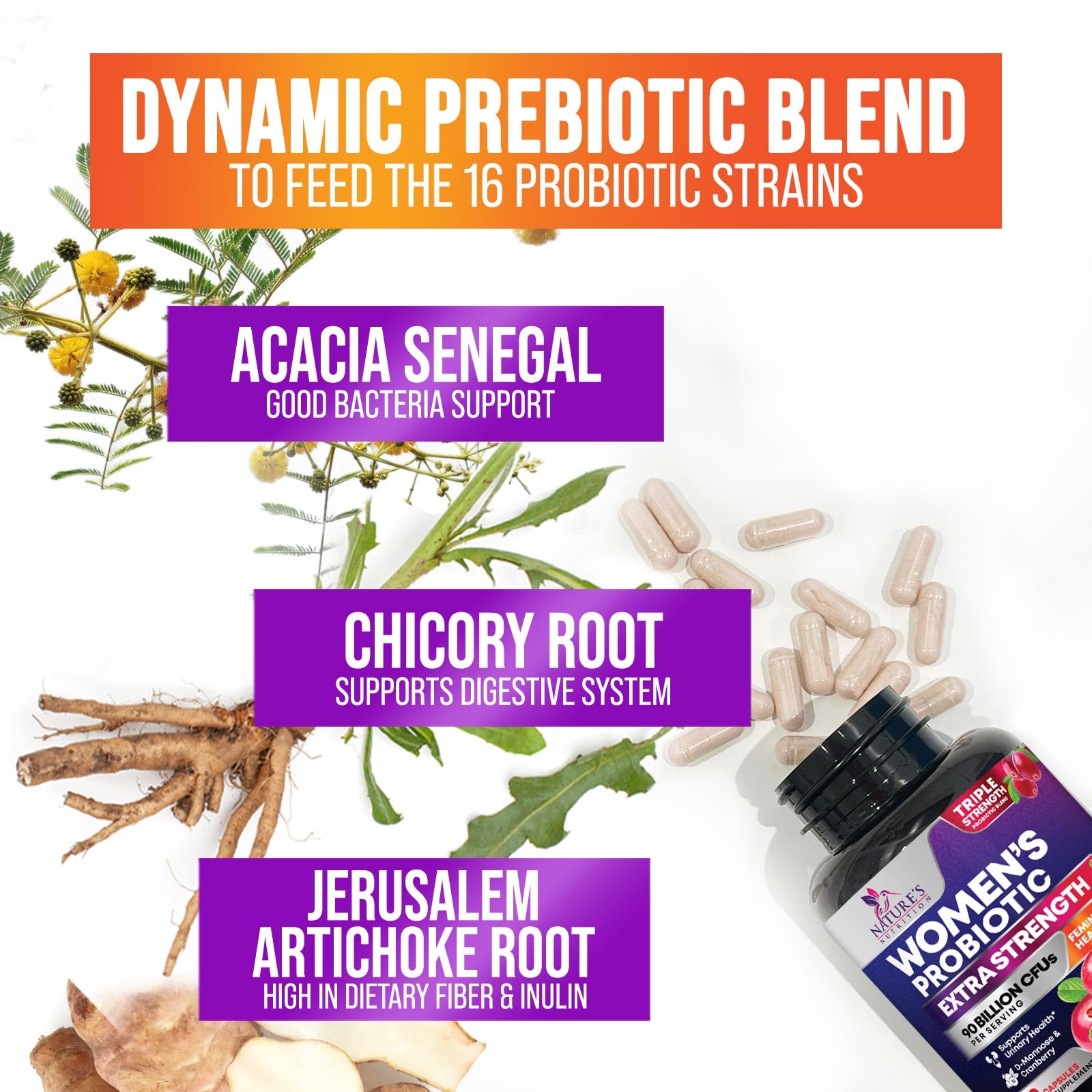 daily probiotics for women's wellness