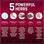 daily probiotics for women's wellness