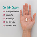 daily probiotics for women support