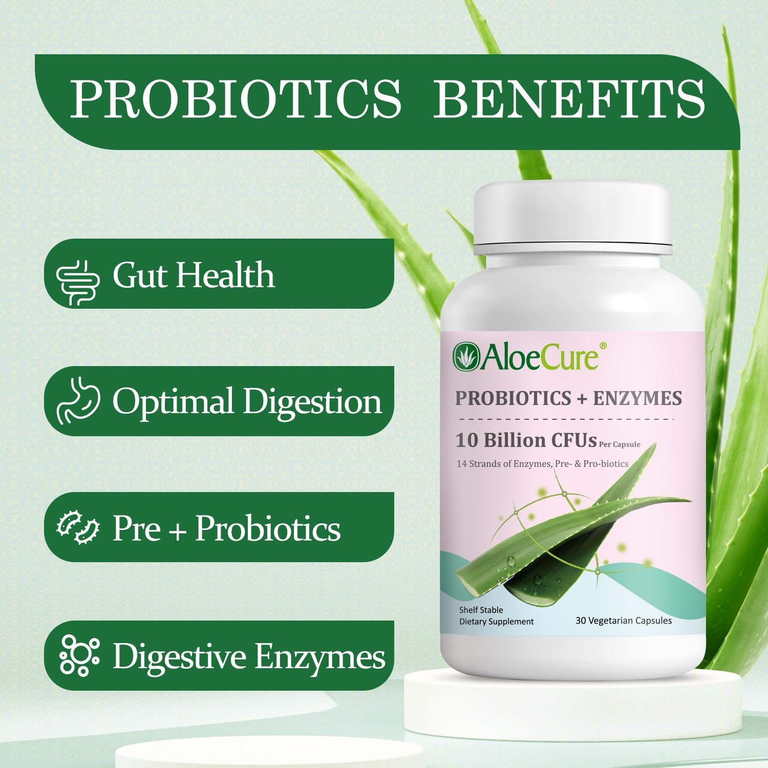 Daily probiotics with enzymes for women