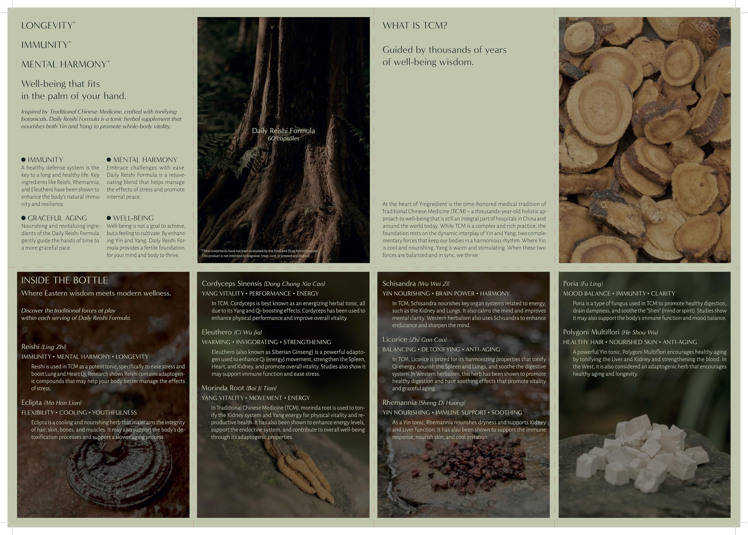 daily reishi formula for balance