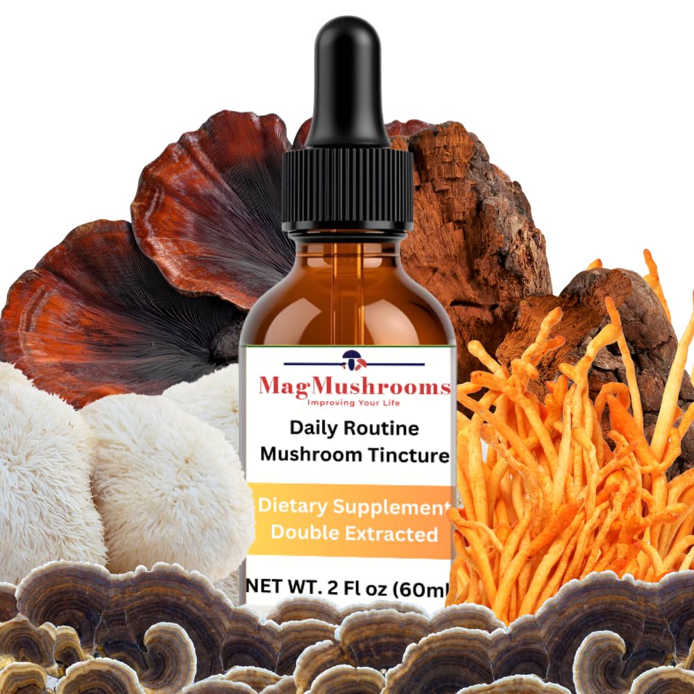 Daily Routine mushroom tincture benefits