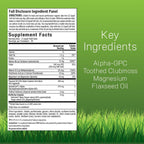 daily saw palmetto supplement benefits