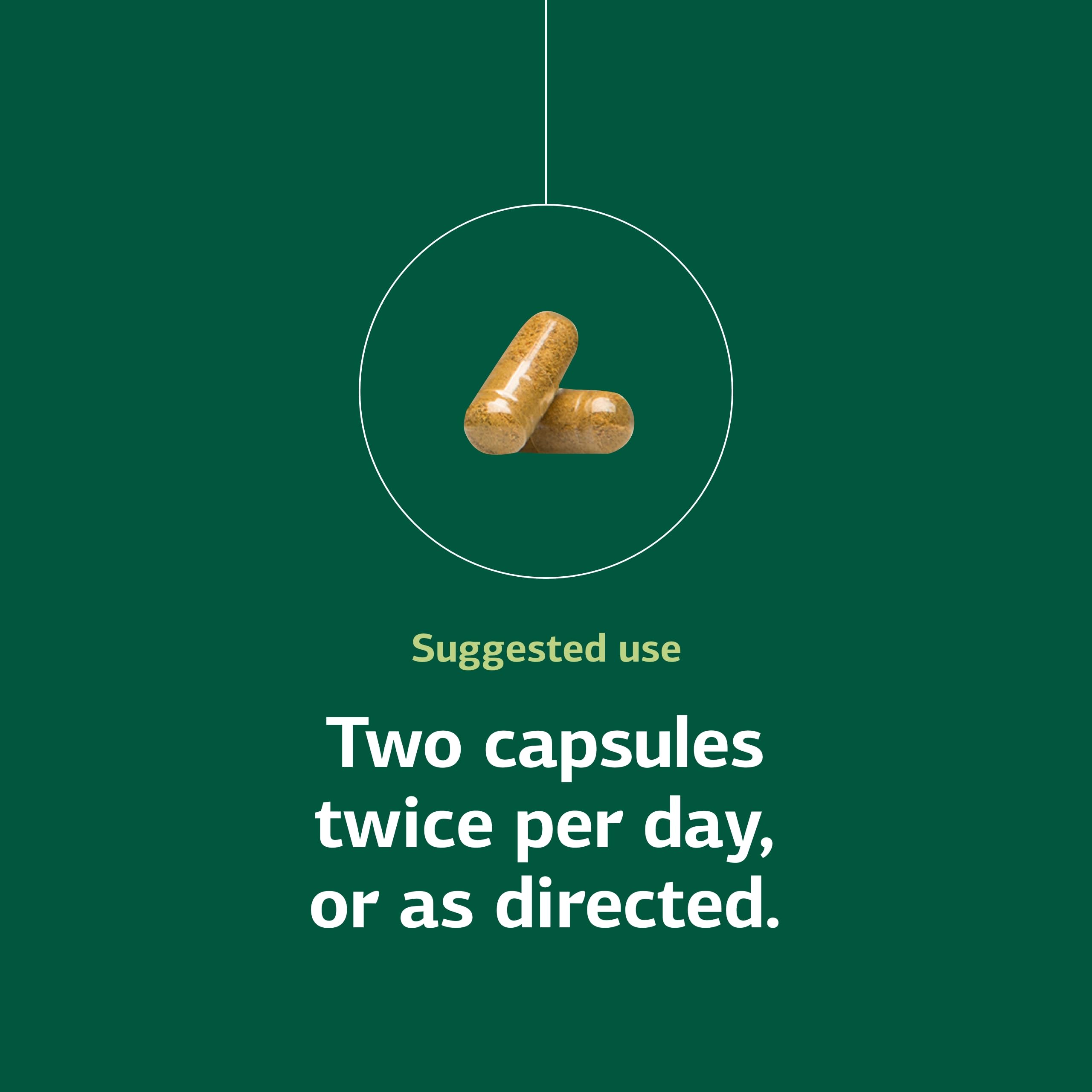 Daily skin support capsules