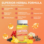 Daily stress management gummies
