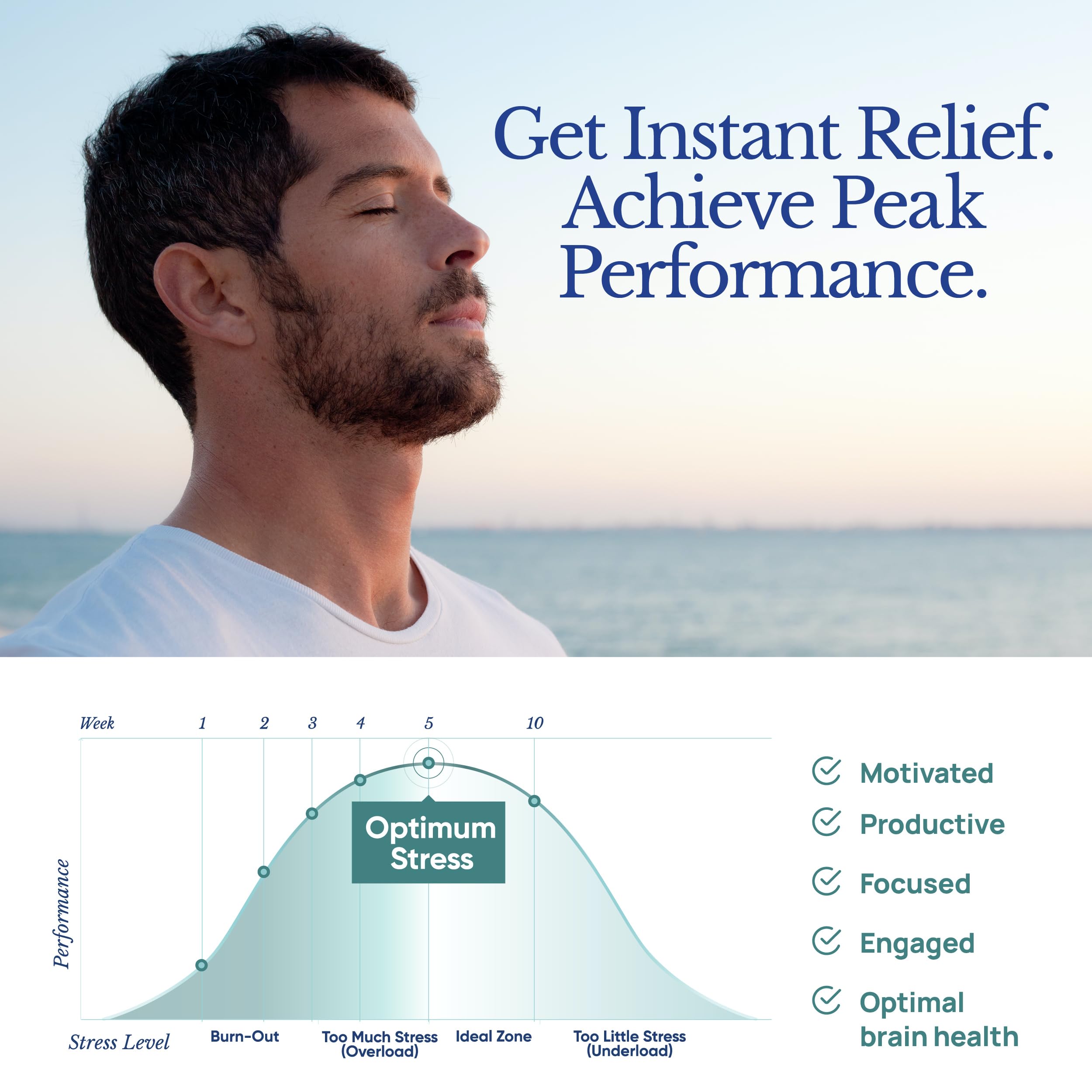 daily stress support vitamins