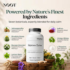 daily stress support with ashwagandha