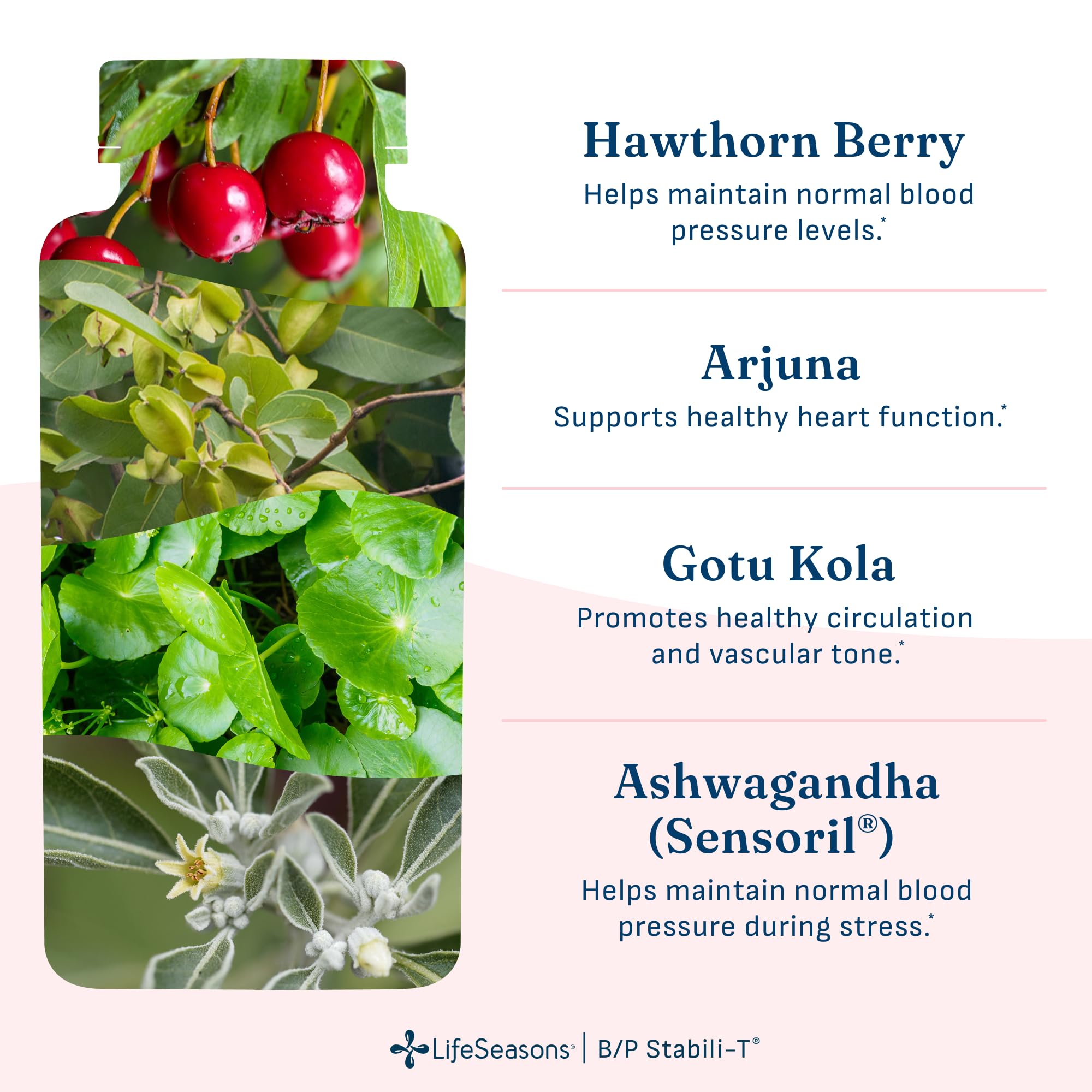 daily supplement for balanced blood pressure