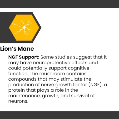 daily supplement for brain health