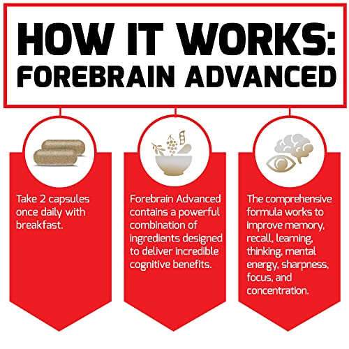daily supplement for cognitive function