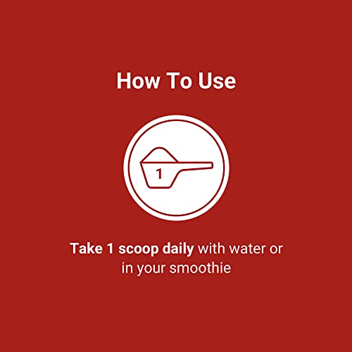 Daily supplement for digestive comfort