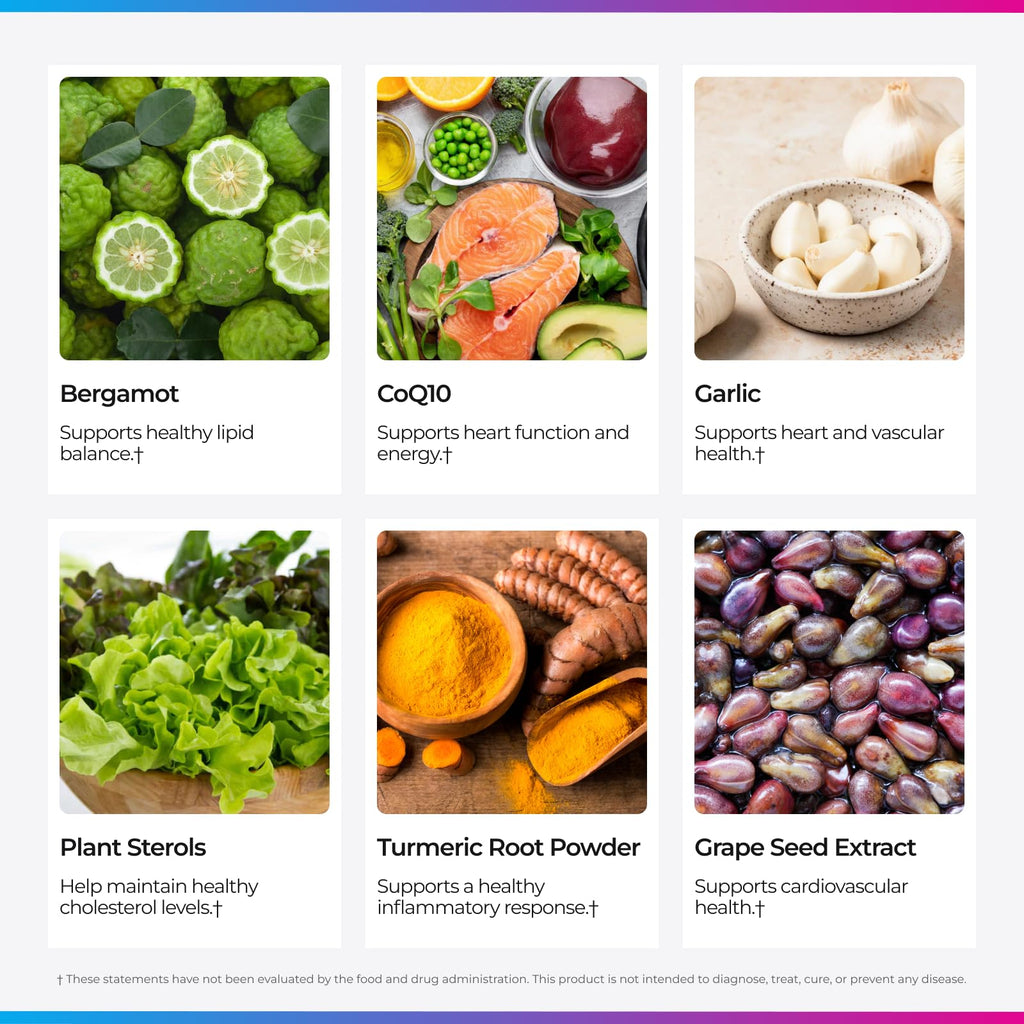 Daily supplement for healthy cholesterol levels