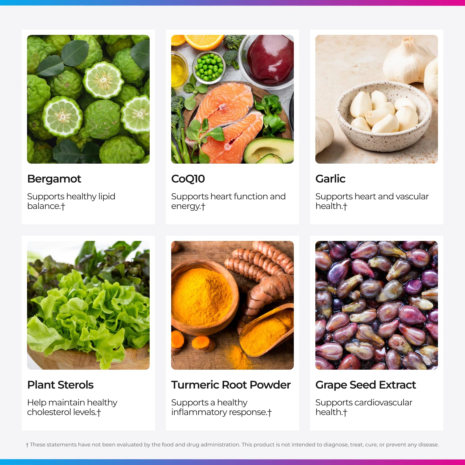 Daily supplement for healthy cholesterol levels