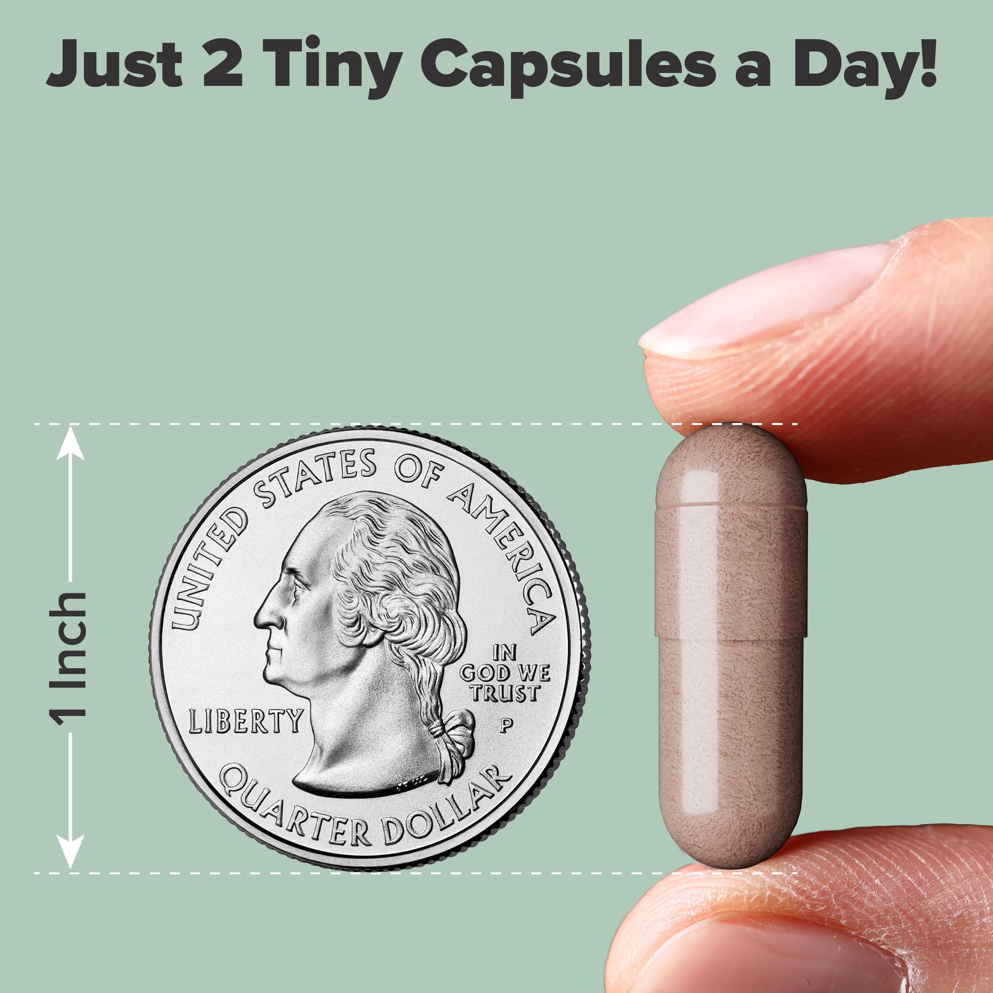 Daily supplement for improved vitality