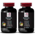 Daily Support elderberry complex benefits