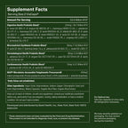 daily synbiotic for balanced digestion