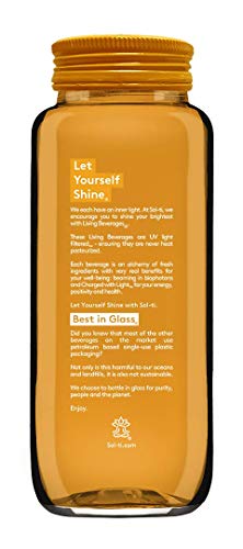 daily turmeric and ginger booster