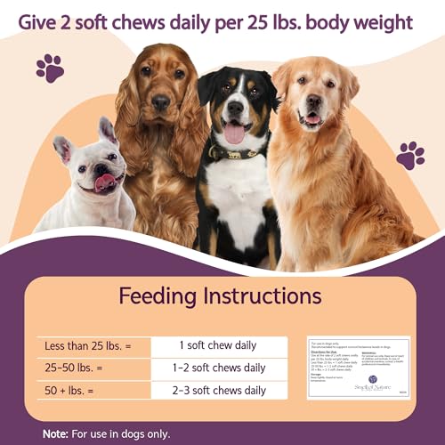 daily turmeric chews for dogs