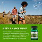daily turmeric dosage for joint support